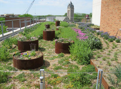 University Unveils Gardens on Both Campuses - VCU News - Virginia ...