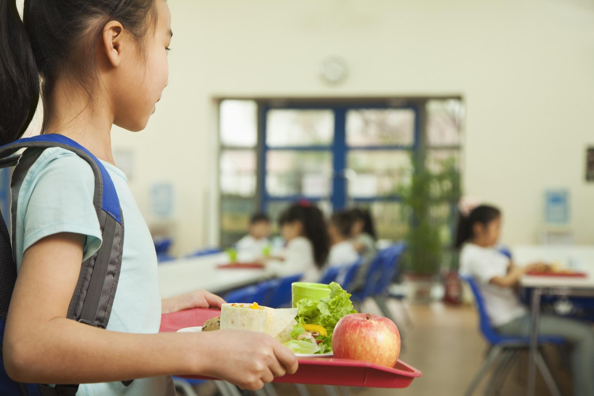 Analysis of school lunches suggests federal nutrition standards should ...